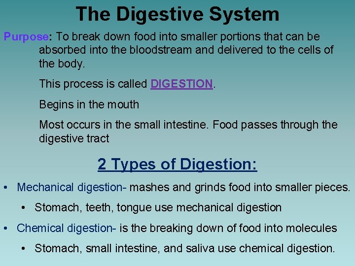 Human Anatomy and Body Systems Unit Levels of