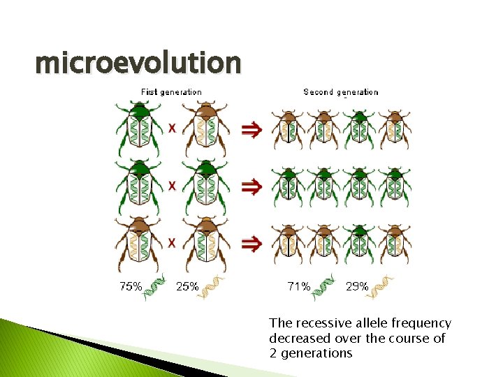 How many different species are shown below The