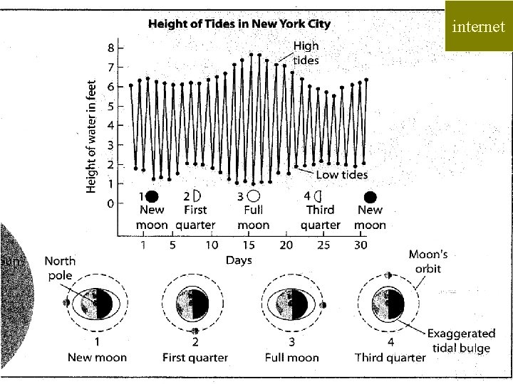 Unit 10 Beyond the Planet Earth The Moon