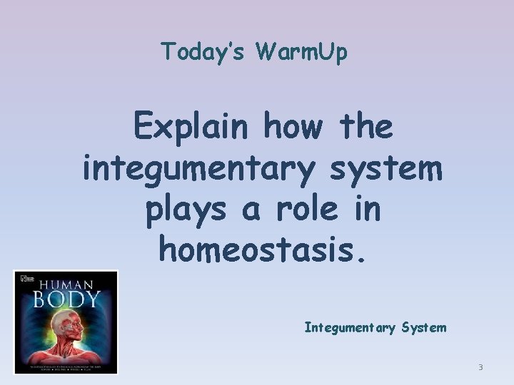 Body Systems Warm Ups 1 Todays Warm Up