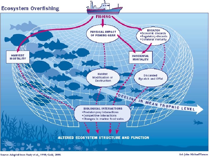 How can we help to sustain aquatic biodiversity