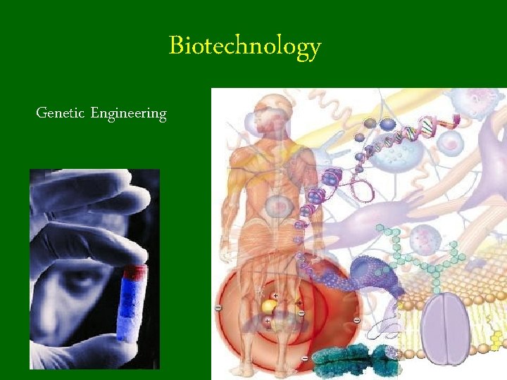 Biotechnology Genetic Engineering Cloning Cloning is the process