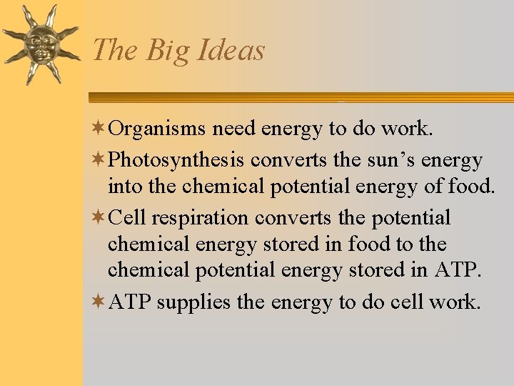 Photosynthesis and Respiration The Big Ideas Organisms need