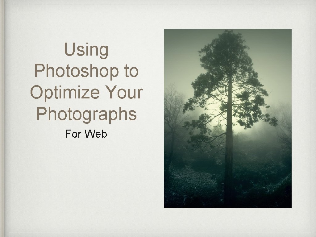 ALL YOU EVER WANTED TO KNOW ABOUT PREPARING