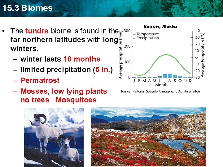 15 3 Biomes KEY CONCEPT Biomes are landbased