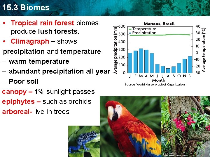 15 3 Biomes KEY CONCEPT Biomes are landbased