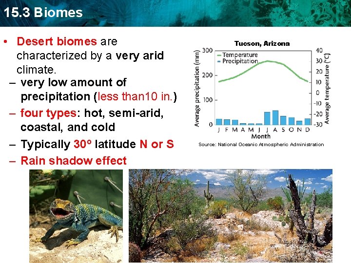 15 3 Biomes KEY CONCEPT Biomes are landbased