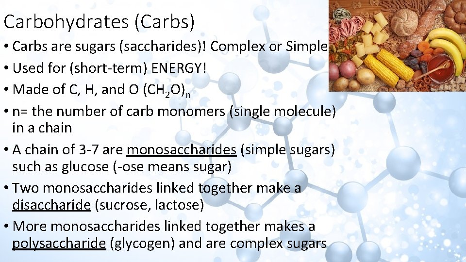 Unit 1 Biochemistry 1 1 Biological Macromolecules Warmup