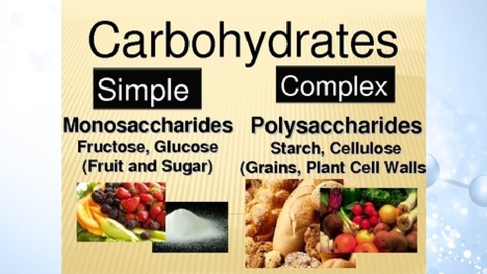 Unit 1 Biochemistry 1 1 Biological Macromolecules Warmup