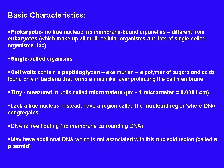 BACTERIA An Overview Staphlococcus aureus and human white