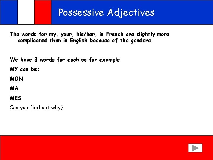 Possessive Adjectives Objectives To explain what possessive adjectives