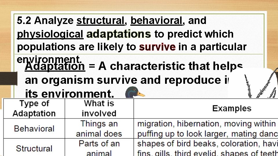 5 1 5 5 Biology Flashcards 5 1