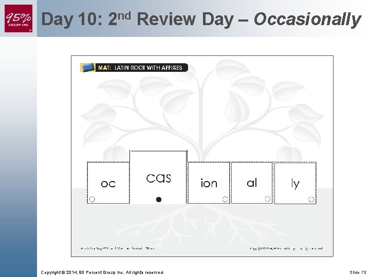 Vocabulary Surge Level B Word Mat and Word