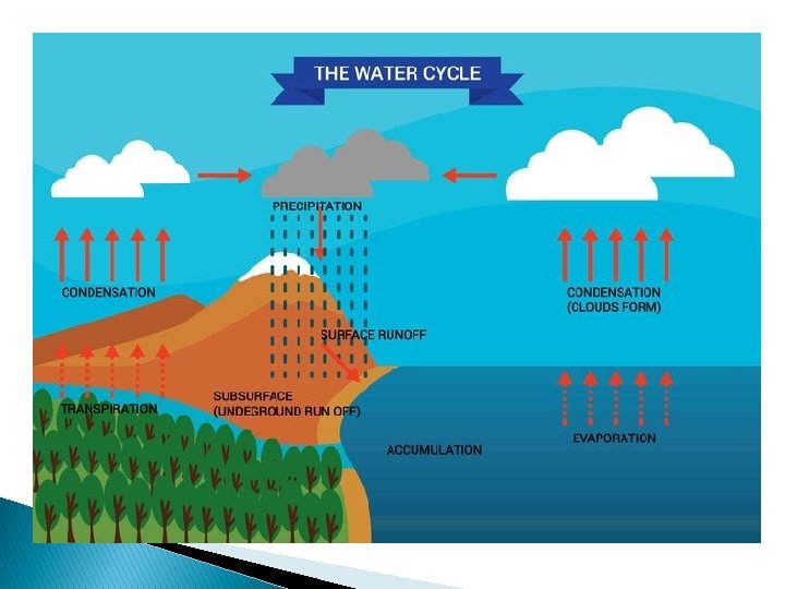 The Water Cycle Learning Objectives To be able
