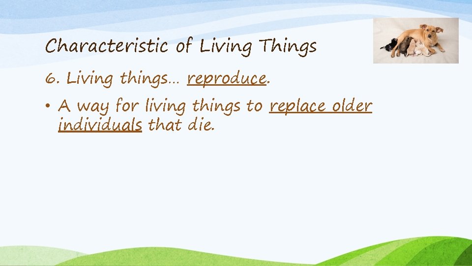 Observing Living Things Identify the 7 behaviours of