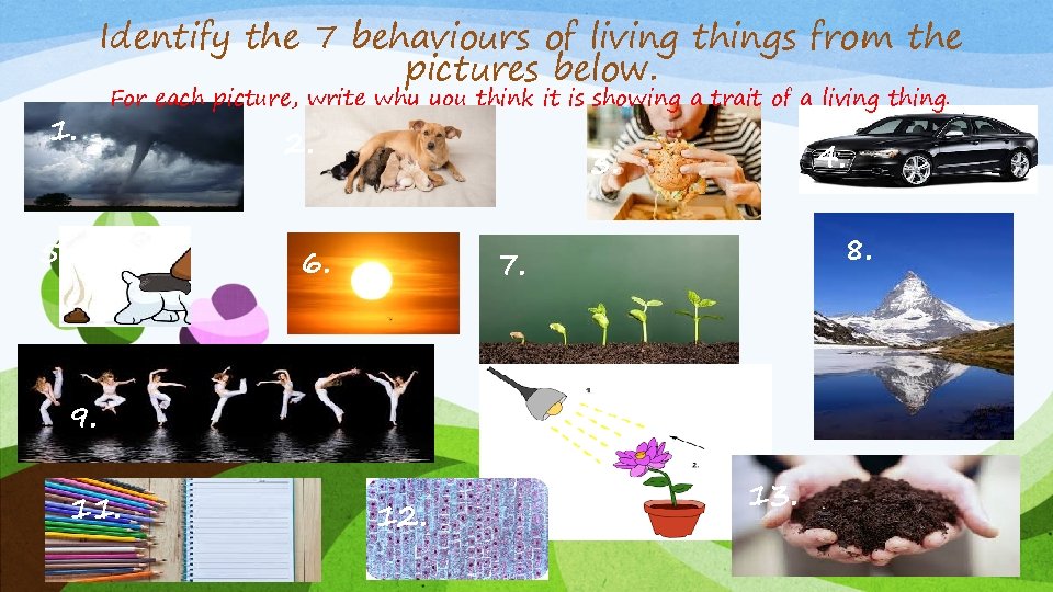 Observing Living Things Identify the 7 behaviours of