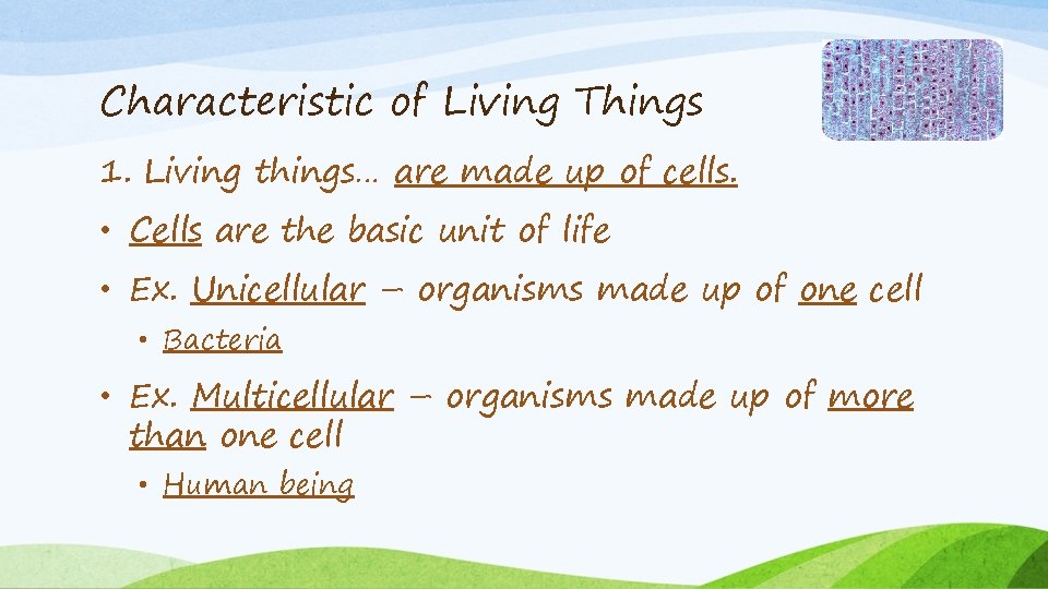 Observing Living Things Identify the 7 behaviours of
