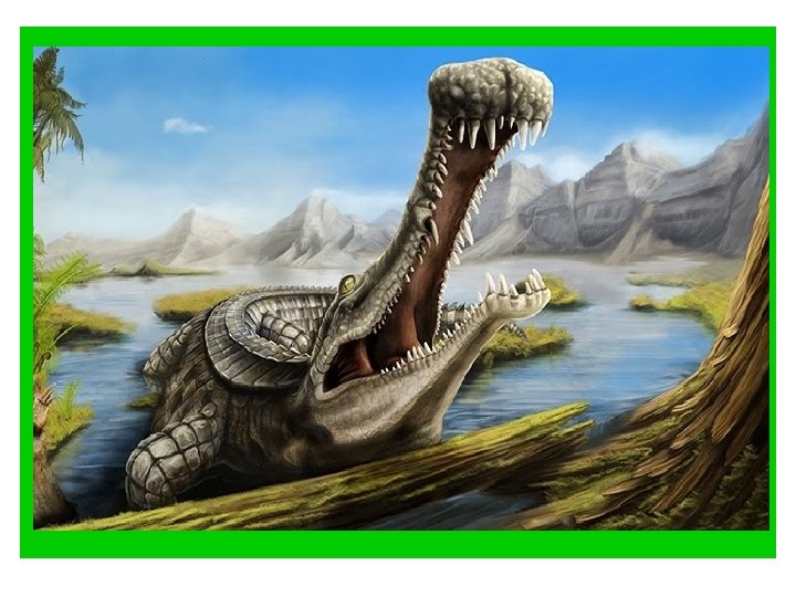 SUPER CROC and A VERY OLD FISH VOCABULARY