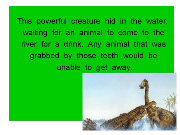 SUPER CROC and A VERY OLD FISH VOCABULARY