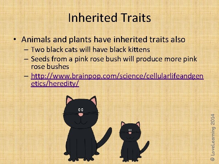 Lesson Webquest Interactive Notes Monster Family How would