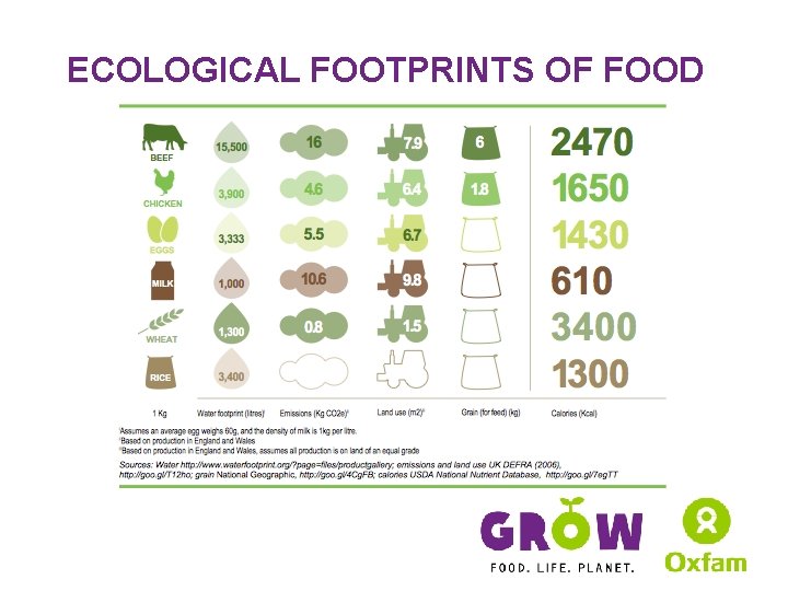 GROWING A BETTER FUTURE FOOD JUSTICE IN A