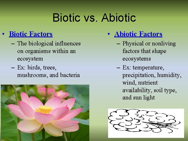 The Biosphere Mr Norris Day 1 Objective I