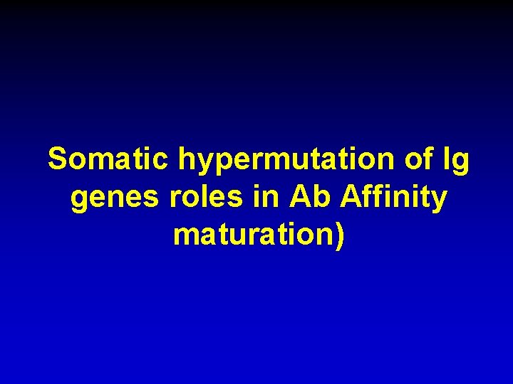 Section 17 B cell recognition and response of