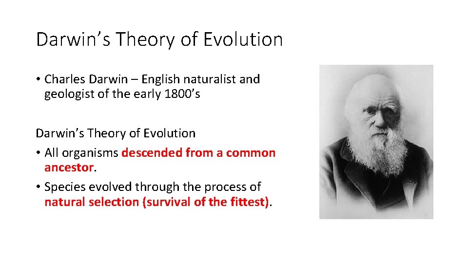 L 2 Theories of Evolution Learning Objectives 1