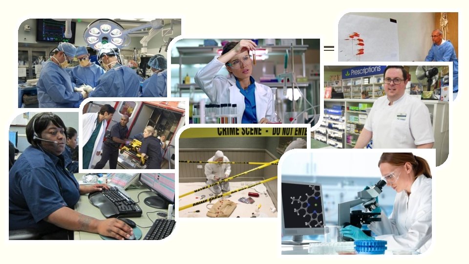 BIOMED PLTW PBS HBS Overview of Principles of