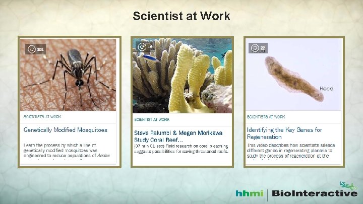 Developing Quantitative Skills Using HHMI Bio Interactive Resources