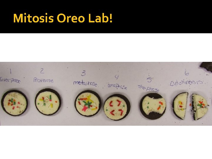 BELLRINGER 1 2 What is DNA List anything