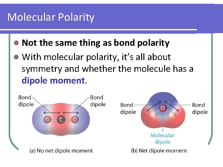 Molecular Shapes and Hybrid Orbitals Why is molecular