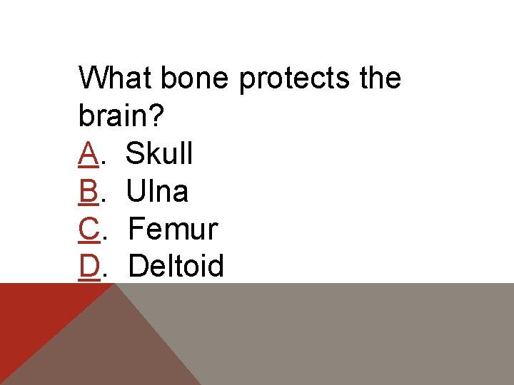 PE Jeopardy Bones Muscles Sports Skills Important People