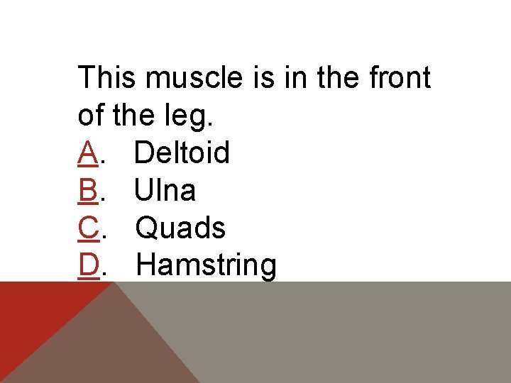 PE Jeopardy Bones Muscles Sports Skills Important People