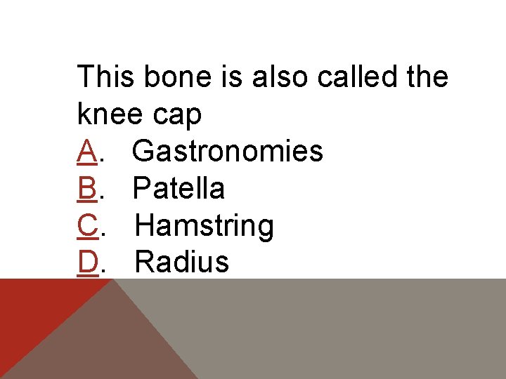 PE Jeopardy Bones Muscles Sports Skills Important People