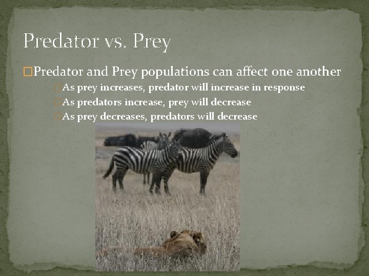Ecology Roles and Relationships Between Organisms and their