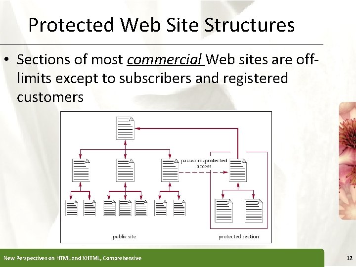 Tutorial 2 Developing a Web Site Objectives XP