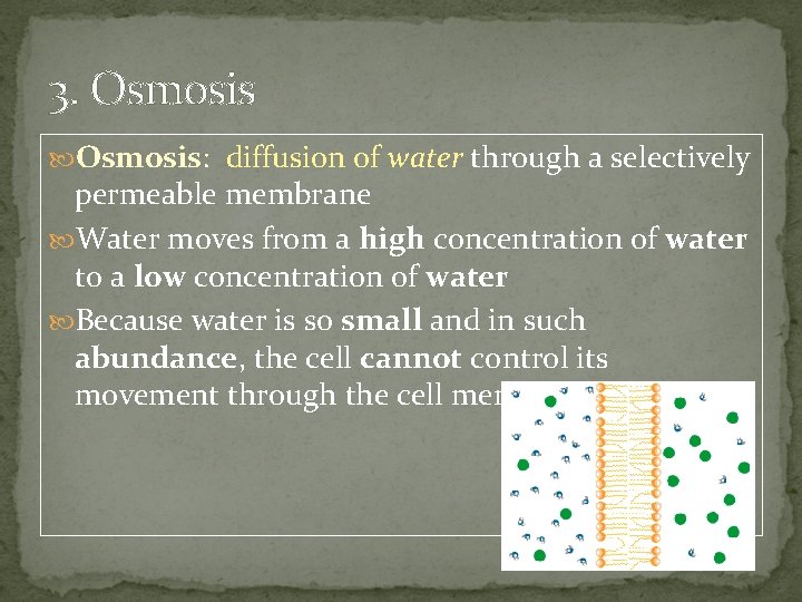 Cellular Transport About Cell Membranes All cells have