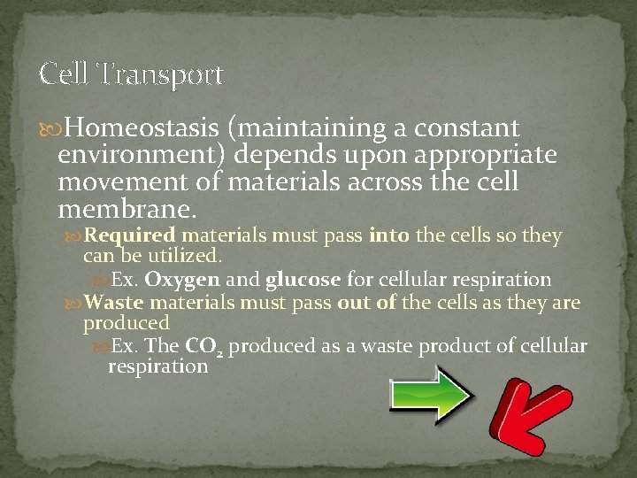 Cellular Transport About Cell Membranes All cells have
