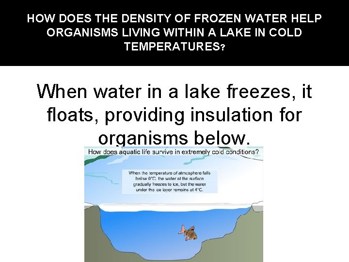 WATER CARBON CHEMISTRY AND MACROMOLECULES REVIEW HOW DOES