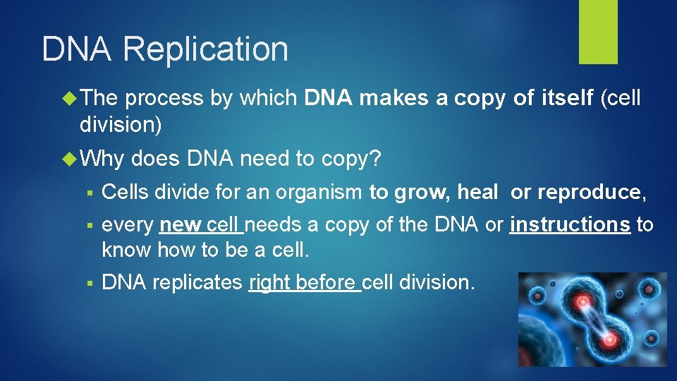 DNA PART 1 THE BLUEPRINT OF LIFE DNA