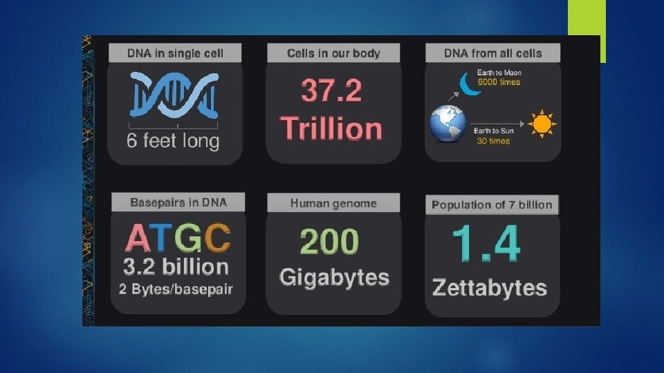 DNA PART 1 THE BLUEPRINT OF LIFE DNA