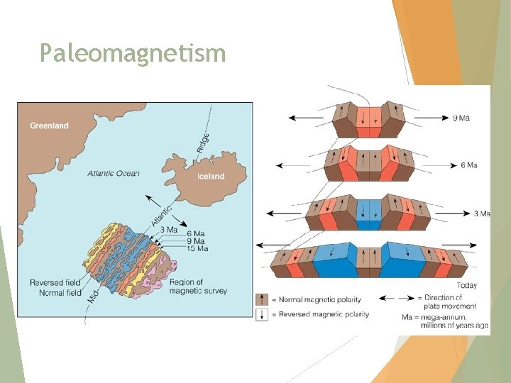 AICE Marine Science Objective 6 The Ocean Floor