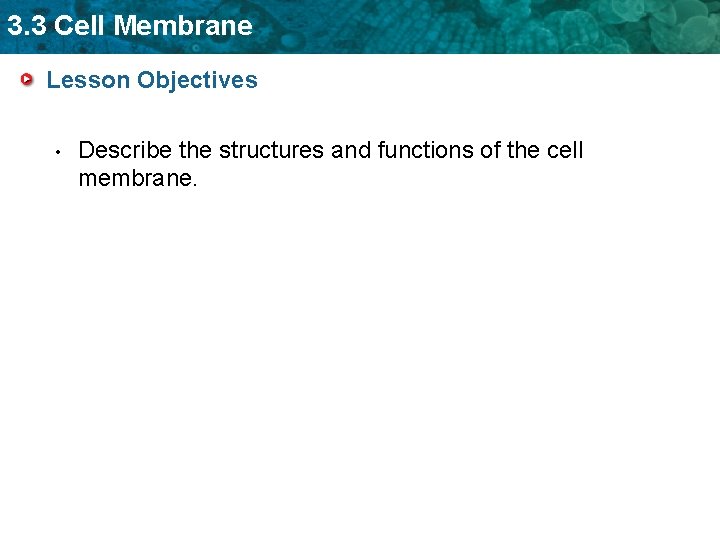 Biology Unit Three Part II Cells Mrs Pearsons