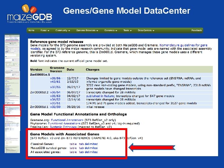 Maize GDB data types tools genomes and how