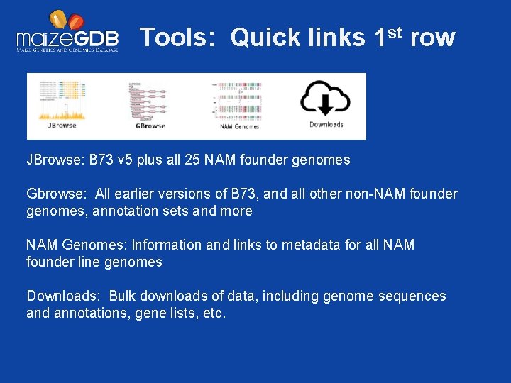 Maize GDB data types tools genomes and how