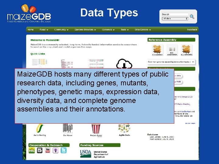 Maize GDB data types tools genomes and how