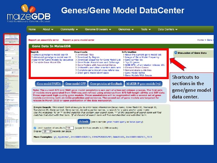 Maize GDB data types tools genomes and how