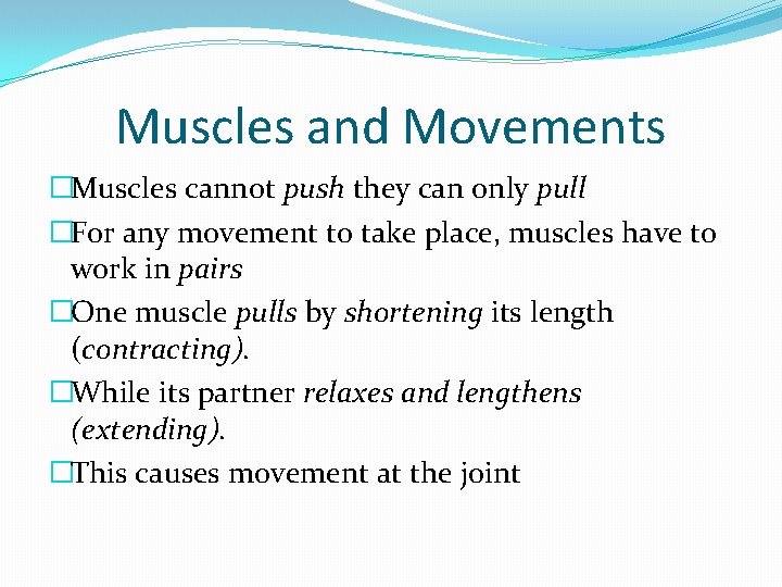 Muscles In the Body Lesson 5 Bones Review