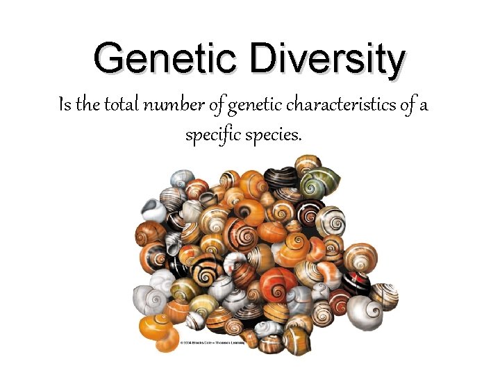 4 1 1 Biodiversity Biodiversity The amount of